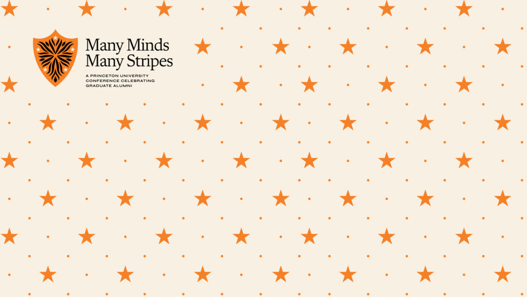 Many Minds, Many Stripes
